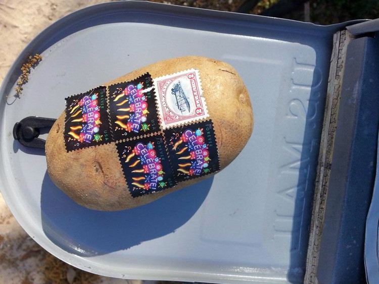 13 Weird Things You Probably Didn't Know You Could Mail 13 Weird Things You Probably Didn't Know You Could Mail